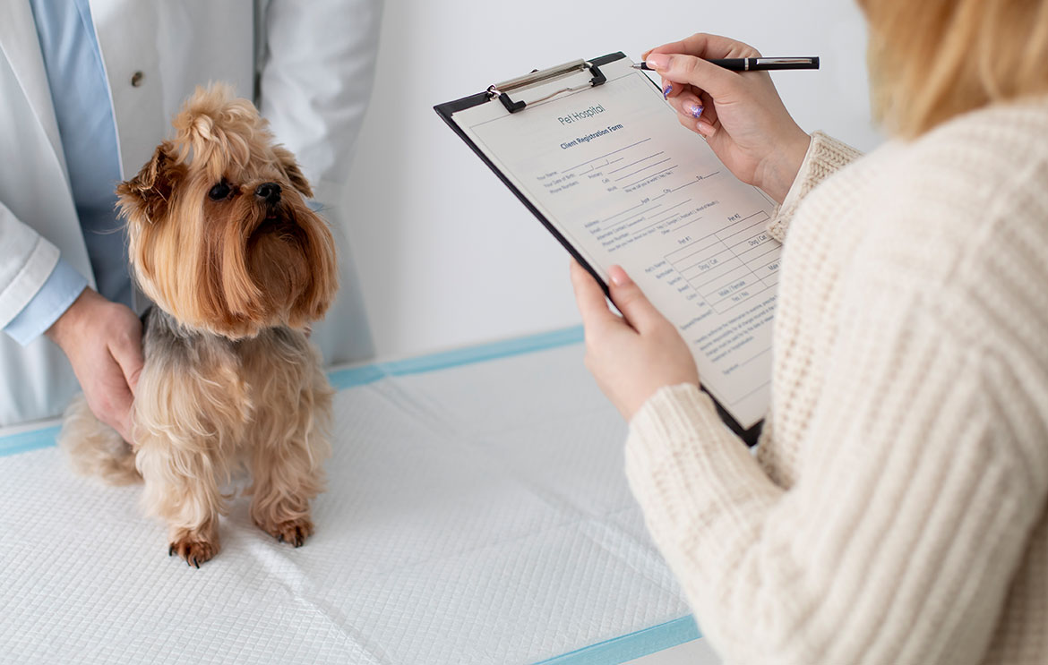 Pet Nutrition Counseling In Milford, MA | Metrowest Vet